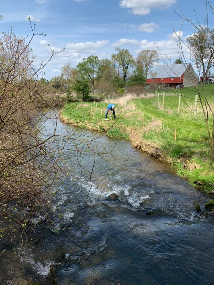 Tree Planting – The Lebanon Valley Conservancy